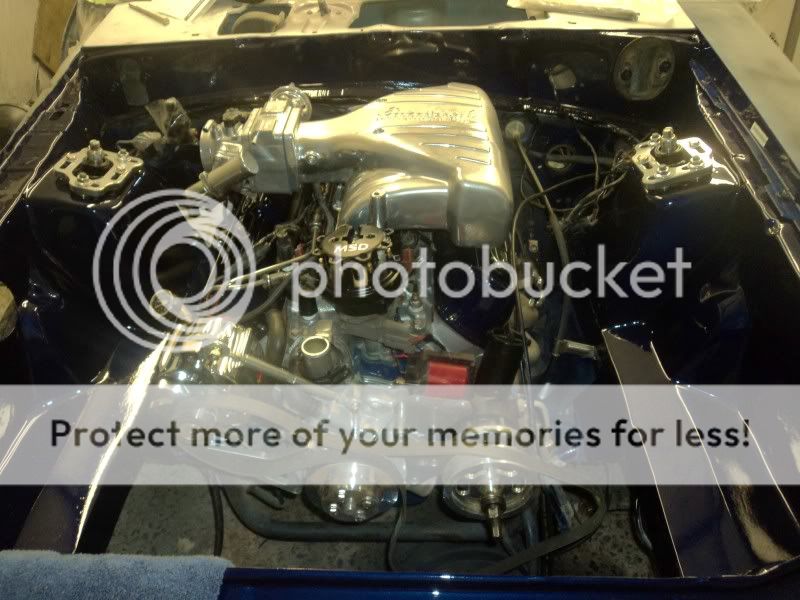 Engine bay smoothing. | Ford Mustang Forums