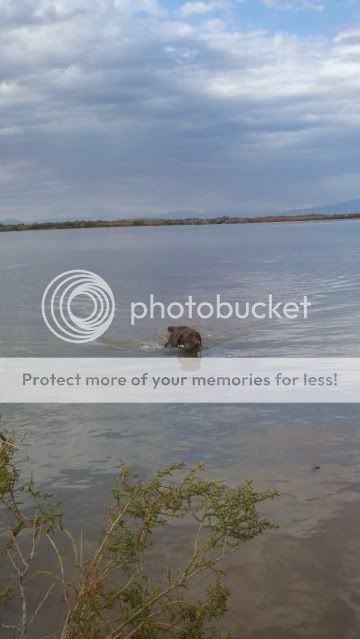 Duck Hunt at Wister Unit Salton Sea- Blind # Hazard 12 | BladeForums.com